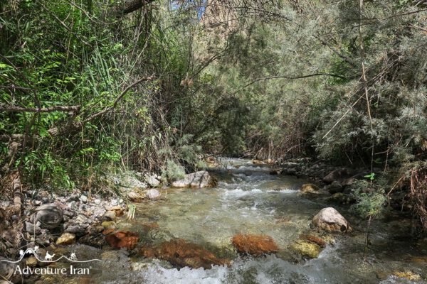 Classic Iran and Hiking in Mountain and Desert Experience - ADVENTURE ...