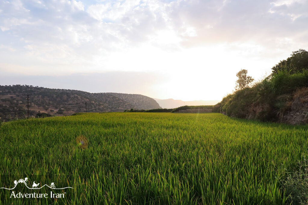 Hiking and Exploring in the foothills of Dena Mountain - ADVENTURE IRAN ...