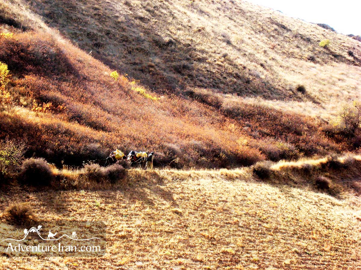 Iranian Kurdistan Trail and Explore West of Iran - ADVENTURE IRAN ...