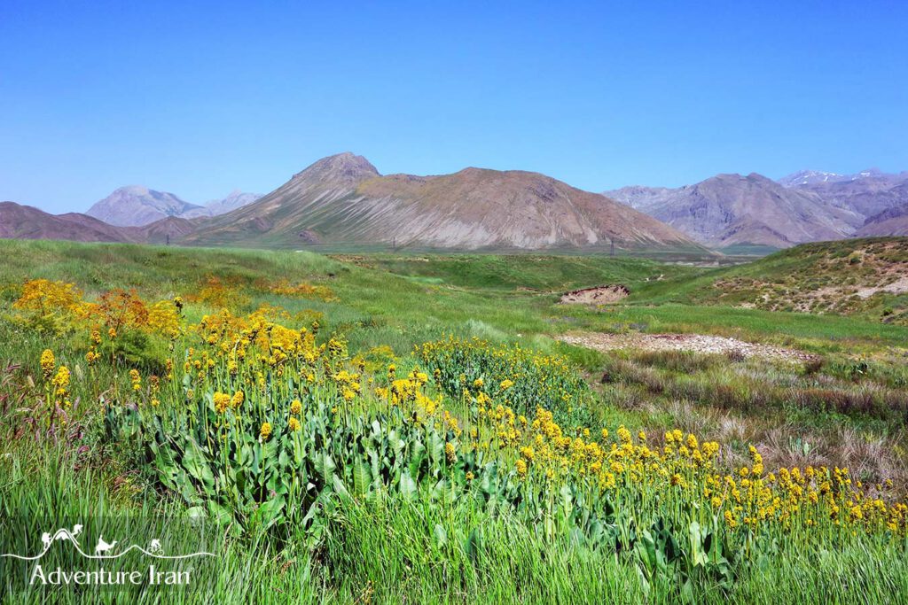 Lar National Park Trekking - ADVENTURE IRAN Official Website - Iranian ...
