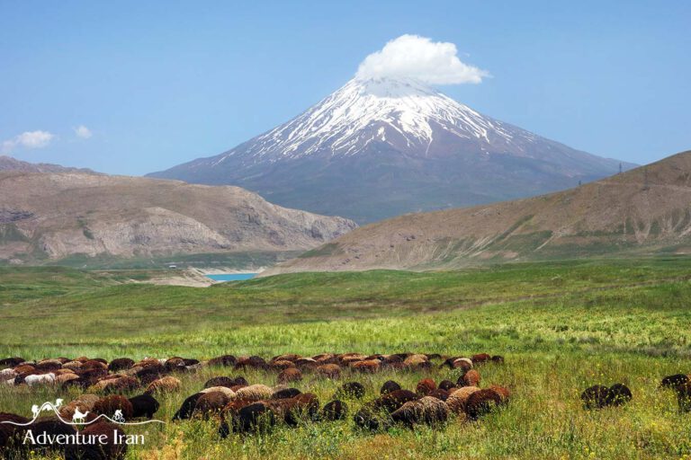 Lar National Park - ADVENTURE IRAN Official Website - Iranian Tour ...