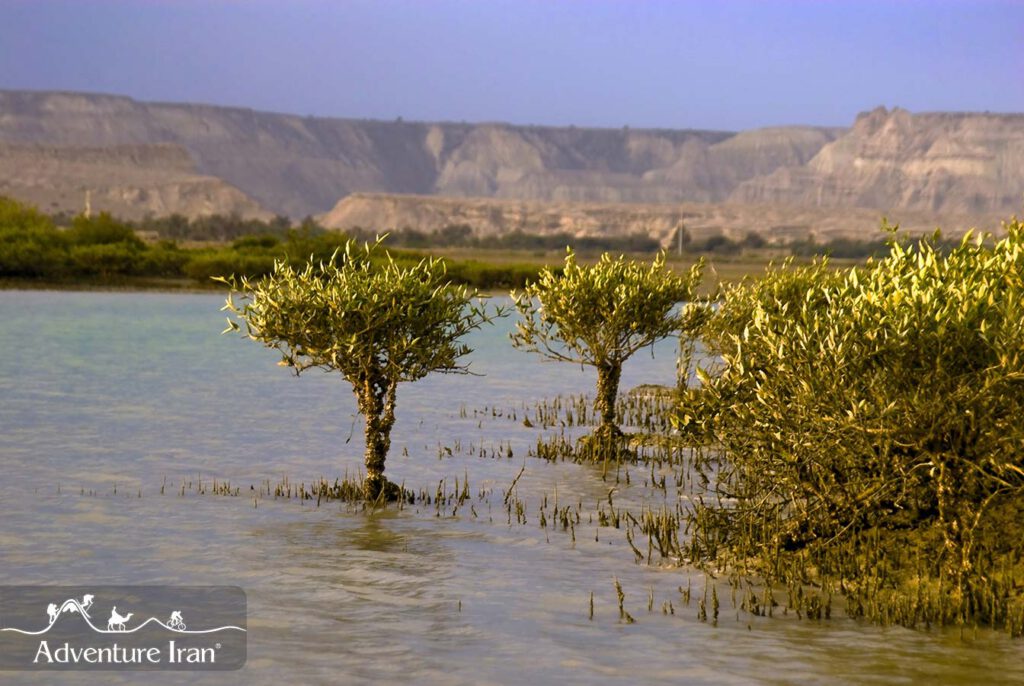 Persian Gulf Islands - ADVENTURE IRAN Official Website - Iranian Tour ...