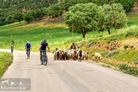 Travel by bicycle to see Iran's Classic Sites - ADVENTURE IRAN Official ...
