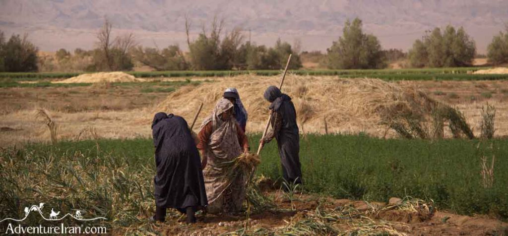 Geography - ADVENTURE IRAN Official Website - Iranian Tour Operator and ...