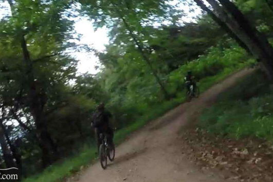 Hyrcanian Forests - ADVENTURE IRAN Official Website - Iranian Tour ...