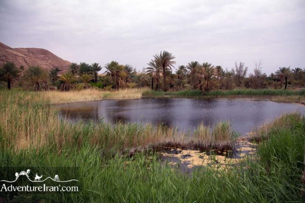 Iran's Most Beautiful Desert Places - ADVENTURE IRAN Official Website ...