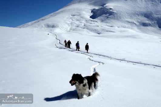 Shemshak wall and Abak Mountain - ADVENTURE IRAN Official Website ...