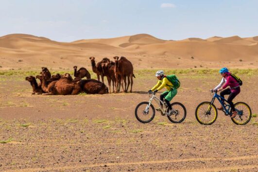 Dasht-e Kavir - Iran's Central desert - ADVENTURE IRAN Official Website ...