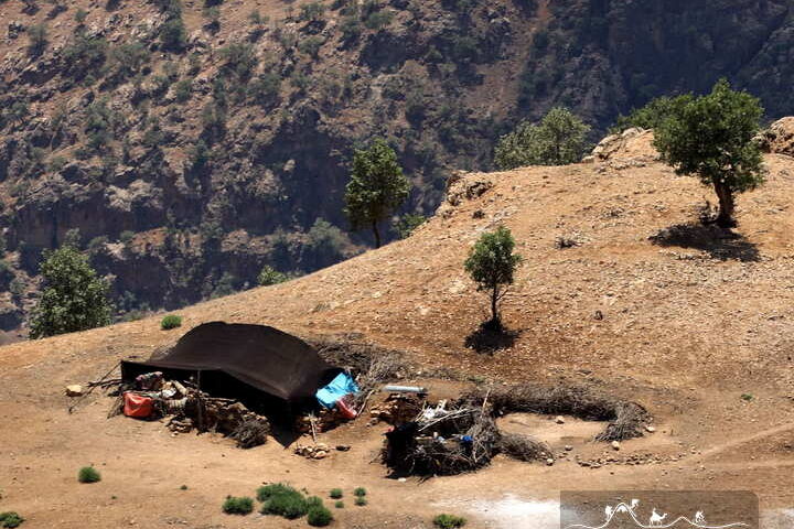 Iran Nomadic Tribes - ADVENTURE IRAN Official Website - Iranian Tour ...