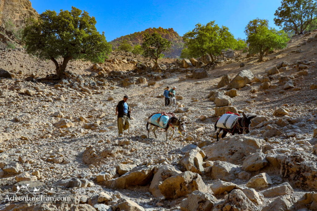 KOOCH, Nomadic Migration of Bakhtiari Tribes - ADVENTURE IRAN Official ...