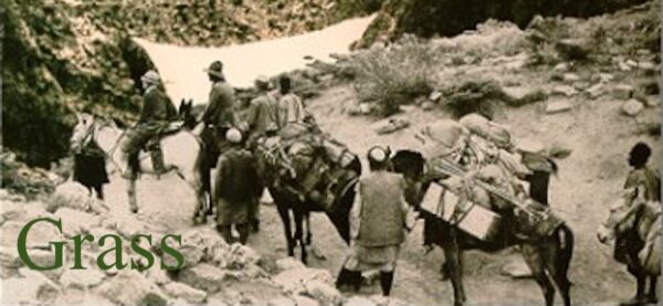 A Guide to Bakhtiari Nomadic Tribes - ADVENTURE IRAN Official Website ...
