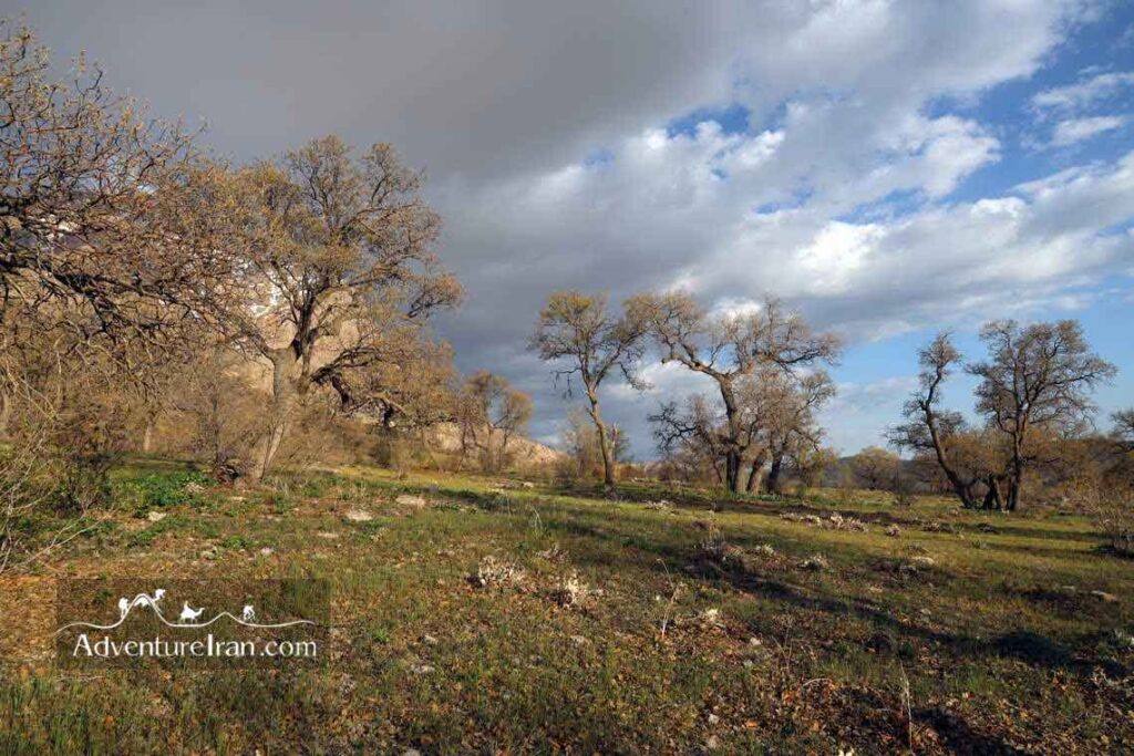 Dena Landscape Photographs - ADVENTURE IRAN Official Website - Iranian ...