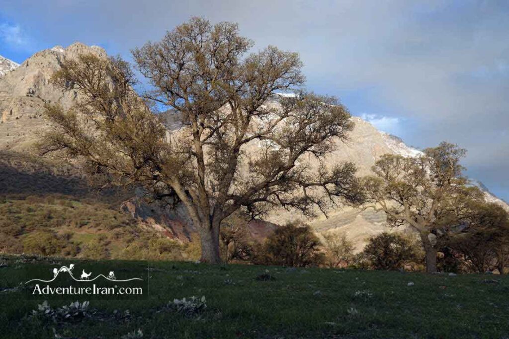 Dena Landscape Photographs - ADVENTURE IRAN Official Website - Iranian ...
