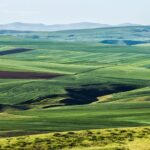 ADVENTURE IRAN Official Website - Iranian Tour Operator and Travel Agency