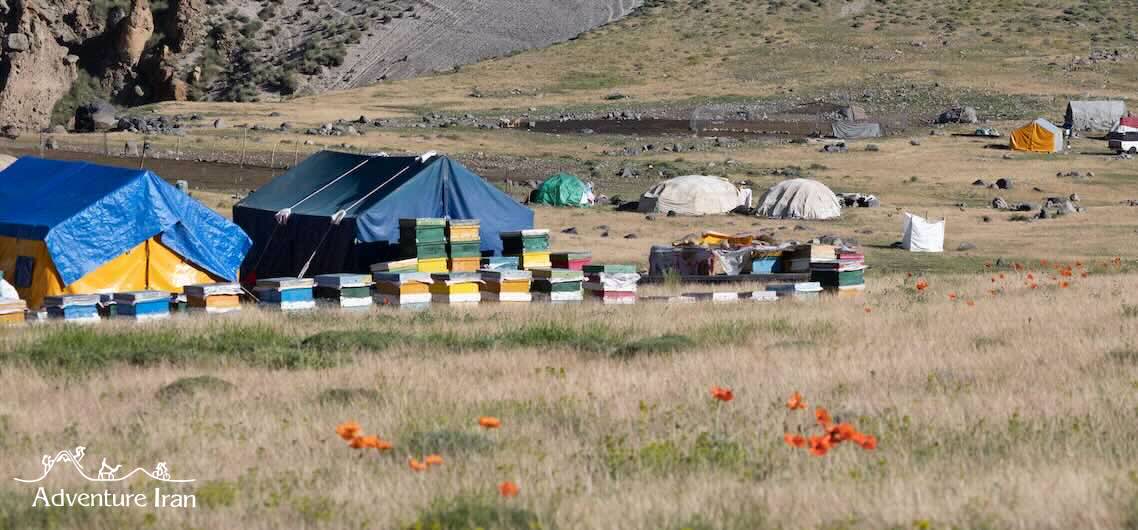 Shahsavan Nomads Tribes of Iran - ADVENTURE IRAN Official Website ...